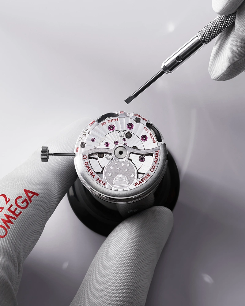 The OMEGA Constellation Observatory